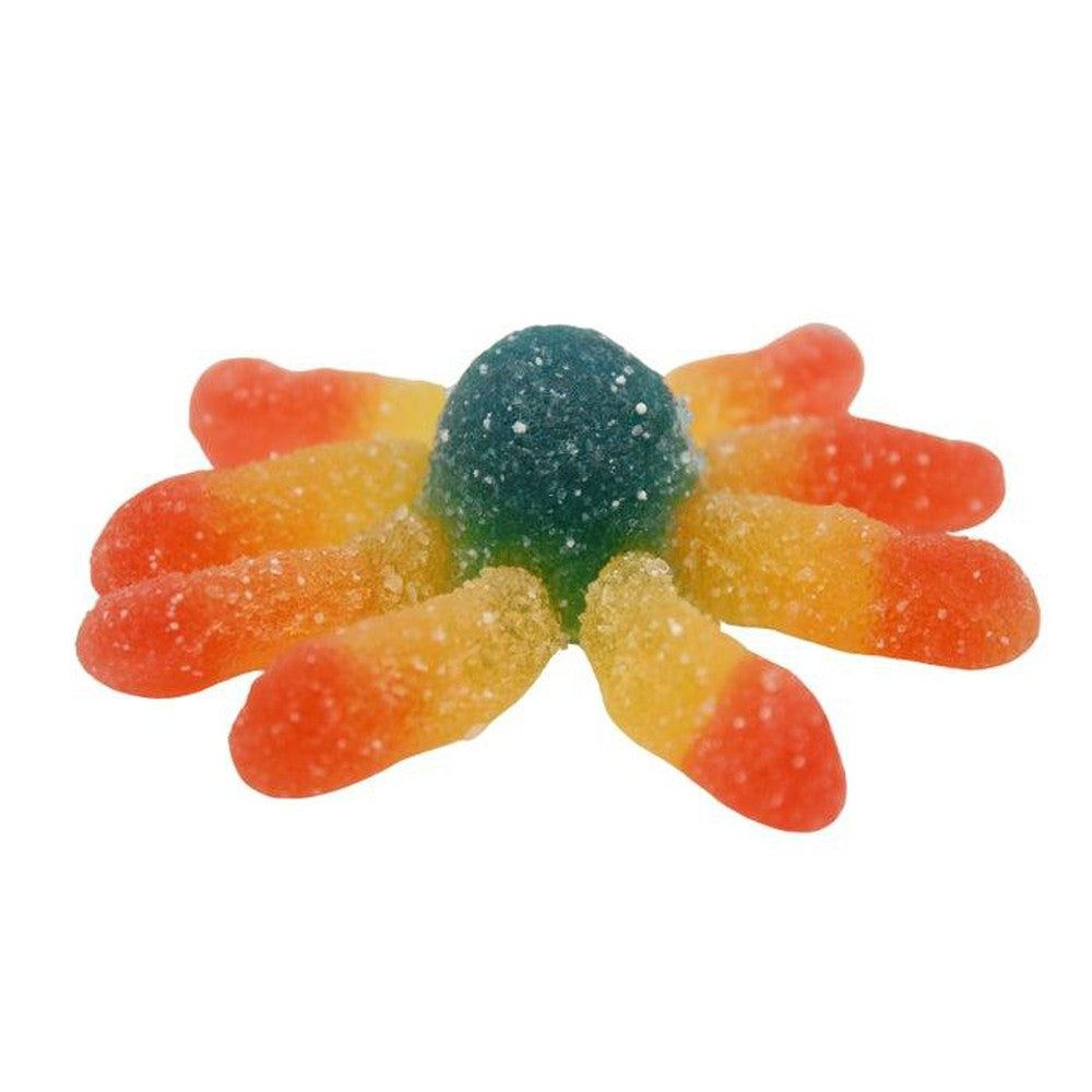 Sour Jelly Octopus | Giant Bradley's Online Sweet Shop